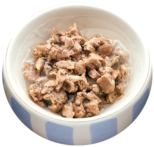 Rotary Disc Texturizer - Pet Food Model | DANA Technology