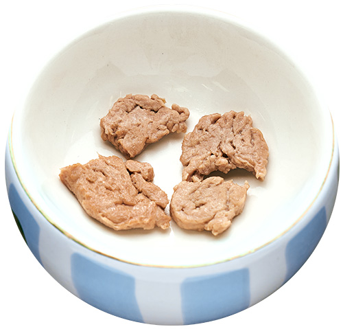 Rotary Disc Texturizer - Pet Food Model | DANA Technology