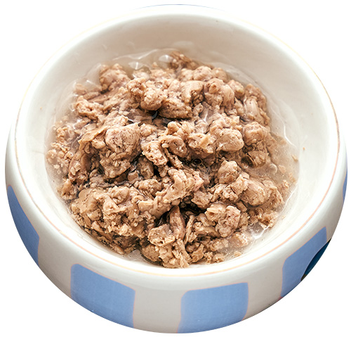 Rotary Disc Texturizer - Pet Food Model | DANA Technology